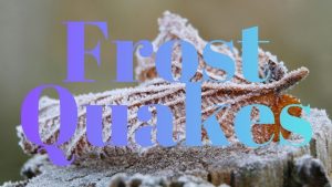 Maryland Weather Alert: Frost Quakes May Cause Loud Booms in Baltimore ...